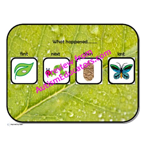 Hungry Caterpillar Match Sort And Sequence For Autism