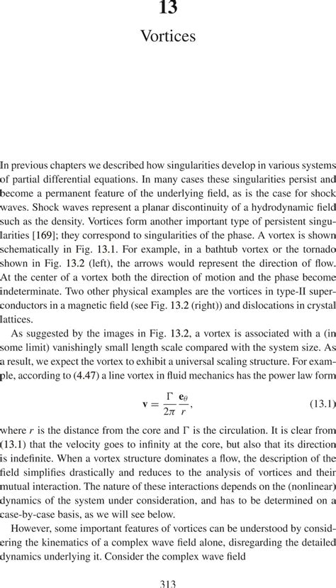 Vortices Chapter 13 Singularities Formation Structure And