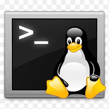 Bash Shell Png Images PNGEgg