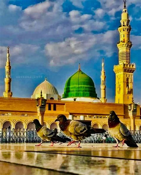 mubashar shahzad on linkedin wednesdaymotivation