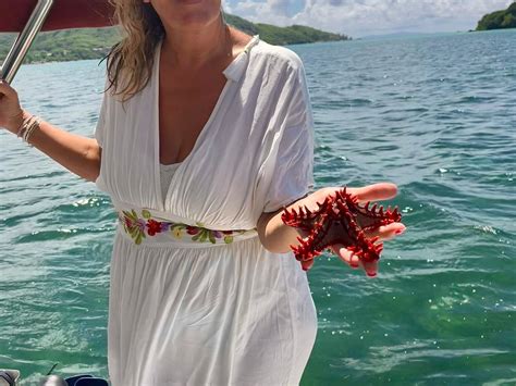 Dolphin Nemo 2026 All You Must Know Before You Go With Reviews