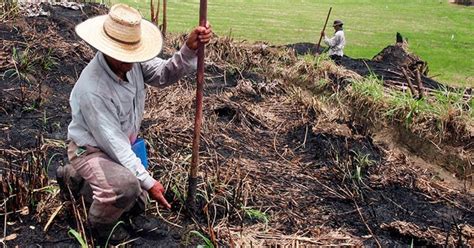 Car Firmó Convenio Para El Programa De Pagos Por Servicios Ambientales