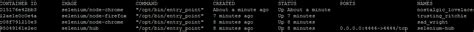 Selenium Webdriver How To Create A Disposable Selenium Grid