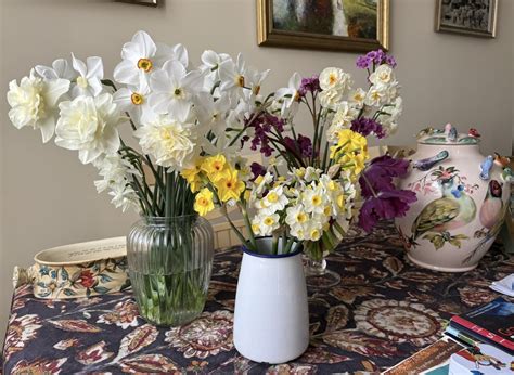 სასკოლო საზოგადოება • განათლების მეცნიერებისა და ახალგაზრდობის სამინისტრო 💢2021 2022 წლის