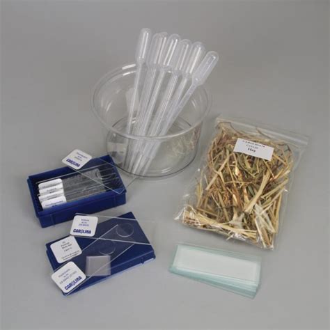 Survey Of Protists Carolina Distance Learning