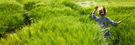 Darling Ingredients Inc. - AnnualReports.com