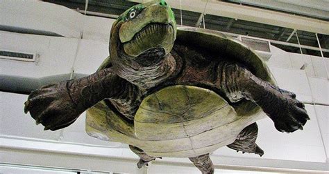 10 Extinct Nopes That You Should Really Be Glad Are Dead Kickassfacts