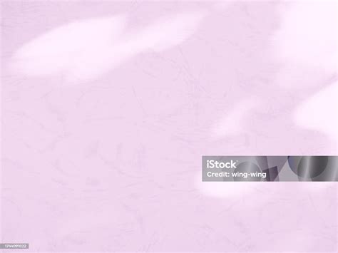 핑크 그림자 배경 밝은 잎 장미 그늘 색상 자연 식물 배경 모형 제품 화장품 햇빛 추상 나뭇잎 질감 패턴 시멘트 종이 복숭아 창에서 꽃 봄 꽃 대리석 0명에 대한 스톡 사진