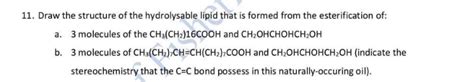 Solved Draw The Structure Of The Hydrolysable Lipid That Is Chegg