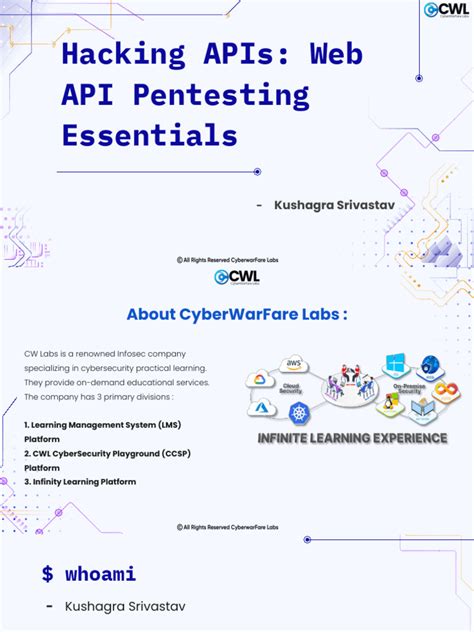 Hacking Apis Web Api Pentesting Essentials V2 1 Pdf Computer