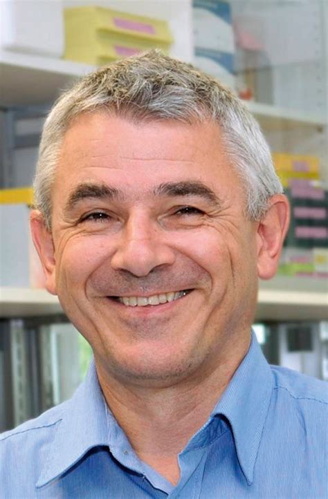 Erc Advanced Grants Für Hellmut Augustin Und Christof Niehrs Deutsches Krebsforschungszentrum