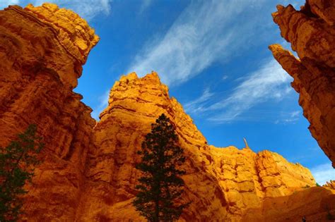 Bryce Canyon Průvodce Skrze Pískovcové Divy Hoodoos Ck Sen