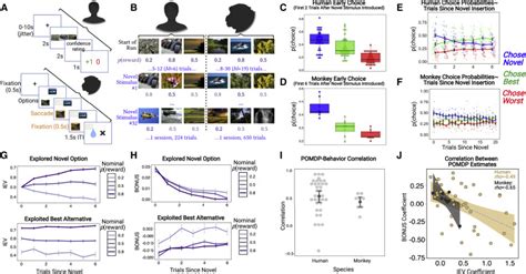 The Neurocomputational Bases Of Explore Exploit Decision Making Neuron