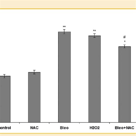 Tomris Ozben Phd And Medical Laboratory Specialist Università Degli