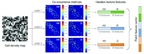 Multi Scale Texture Analysis Of Cellular Density On Digitized Pathology Download Scientific