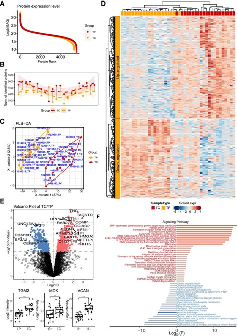 Tissue Proteome Detection Consisting Of Tumor Tissues Labeled As Tc
