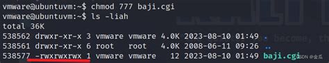 学习笔记 shellshock漏洞利用提权 csdn博客