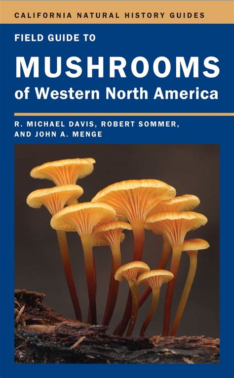 A Comprehensive List Of Common Wild Mushrooms In Montana