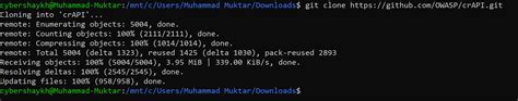 Setting Up Your Api Hacking Home Lab Cybershaykh