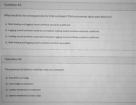 Question 45 What Would Be The Consequencefs For Dna Synthesis If Dna