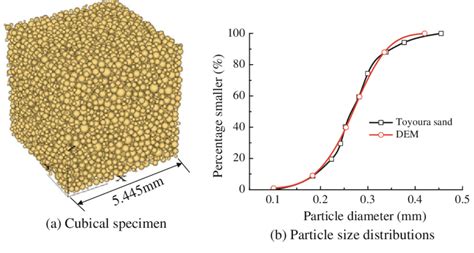 A Cubical Specimen In The Dem Simulations With Particle Size
