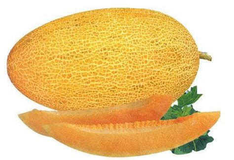 25 Seeds Golden Sweet Crispy Hami Melon Seeds Etsy