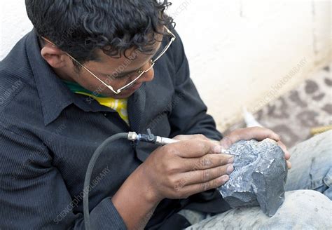Fossil Preparation Stock Image C009 6471 Science Photo Library