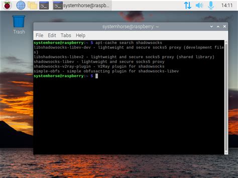Shadowsocks Client On Raspberry Pi Os