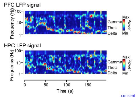 康森特生物科技（长沙）有限公司