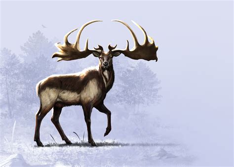 Irish Elk