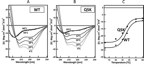 Figure 2 From Effects Of Membrane Lipid Composition On Mycobacterium Tuberculosis Esxa Membrane