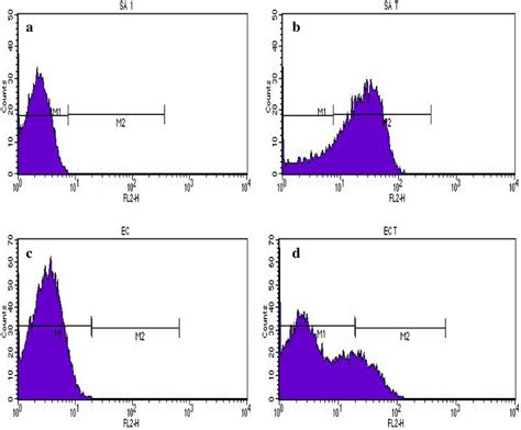 The Fluorescent Assorted Cell Sorting Graph Showed A Gradual Shift From