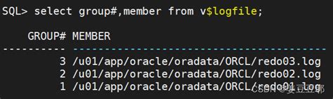 oracle体系结构初探：聊聊redo csdn博客