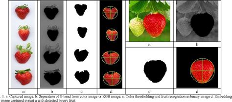 Figure 1 From A Novel Approach For Automated Strawberry Fruit Varieties
