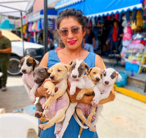 Cbtis 178 Tlapa Cbtis 178 Tlapa Added A New Photo