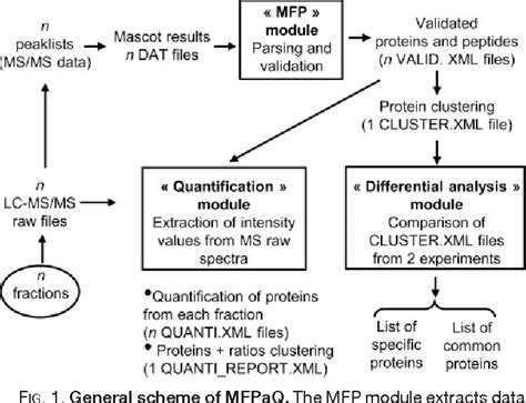 Figure 2 From Mascot File Parsing And Quantification Mfpaq A New Software To Parse Validate