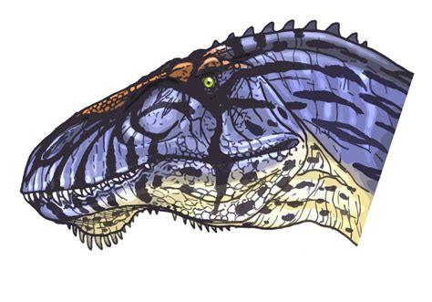 Sauroniops Pictures And Facts The Dinosaur Database