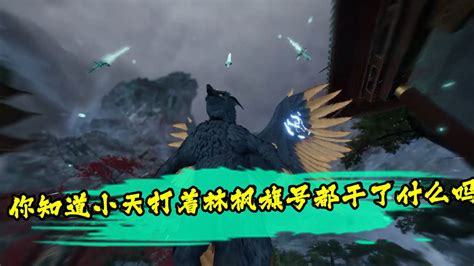 万界独尊：你知道小天打着林枫旗号都干了什么吗？为何让林枫佩服的直竖大拇指呢？高清1080p在线观看平台腾讯视频