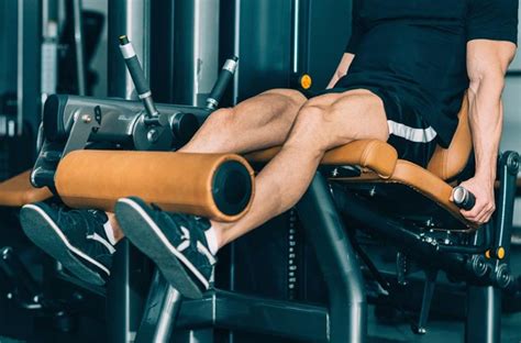 How To Use A Leg Curl Machine All Vibration Plates