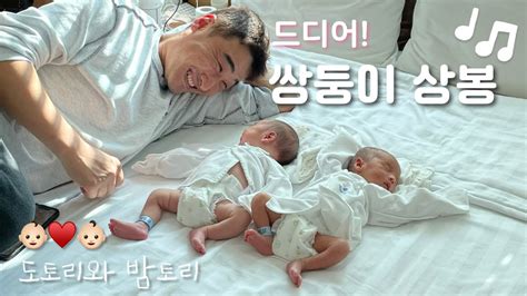 Vlog 둘째 니큐퇴원 드디어 만난 쌍둥이 형제♥️ 산후조리원브이로그 Youtube