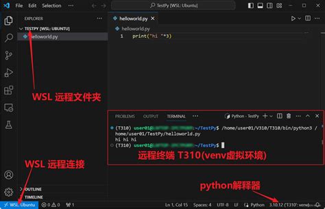通过vscode的远程连接 Wsl，配置linux平台python开发环境vscode Wsl Csdn博客