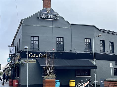 Weirdo Guide To Dublin Pubs The Cat And Cage Beer Republic