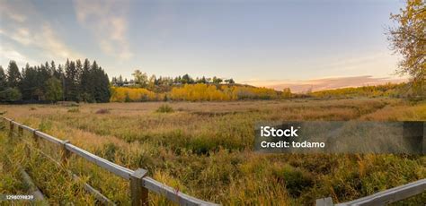캘거리 앨버타의 엘보우 강과 글렌모어 저수지 통로를 따라 풍경 0명에 대한 스톡 사진 및 기타 이미지 0명 강 경관 Istock