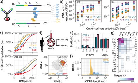 Simultaneous Multiplexed Amplicon Sequencing And Transcriptome