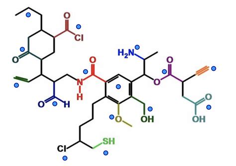 Functional Groups Diagram Quizlet