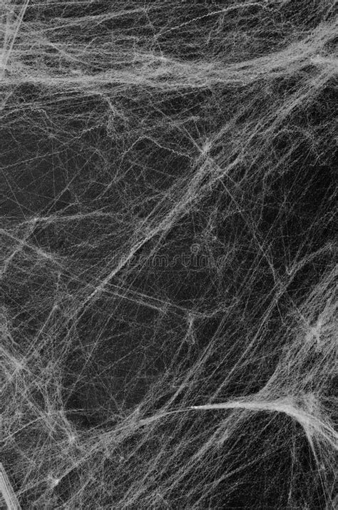 Cobweb On Black Background Abstract Texture Halloween Design Spider