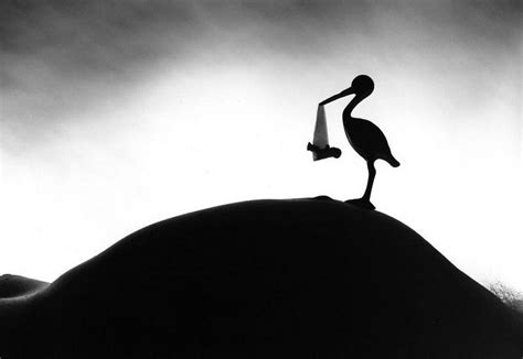 Allan Teger Секрети майстерності Стрічка Photographersua