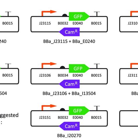 Multi Level Model Of Synthetic Biology Compared To Its Counterparts In Download Scientific