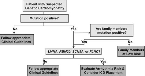 Genetic Spectrum Of Arrhythmogenic Cardiomyopathy Pmc