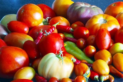 Увеличава се вносът на канцерогенни препарати за растителна защита Български Фермер